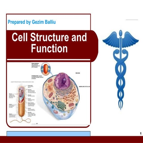Lecture 1 Cell.ppt