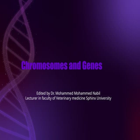 lecture 1 chromosomes.pptx11111111111111 | PPT