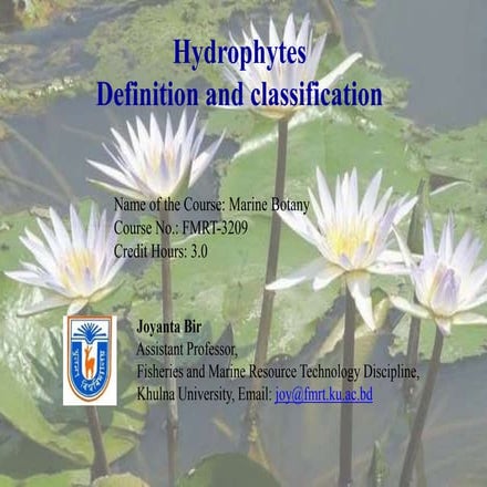 MESOPHYTES .pptx