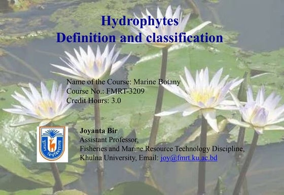 Hydrophytes | PDF