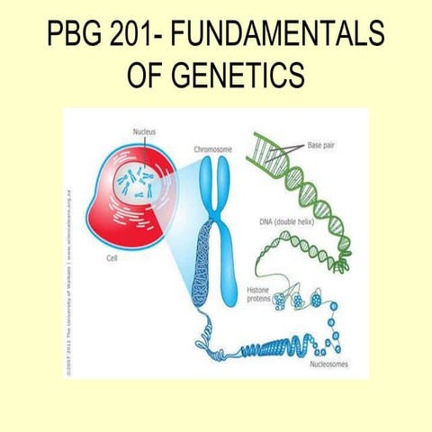 Definition of Genetics, Heredity and variation | PPT