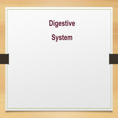 LECTURE 1 git.pptx gastrointestinal system and its functions structure ...