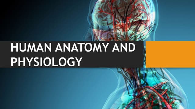 Introduction to anatomy- easy explanation | PDF