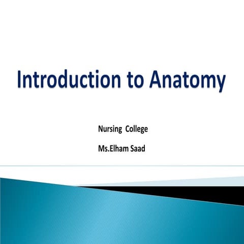 Anatomical position.ppt (1) | PPT