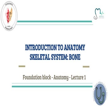 Lecture (1) INTRODUCTION TO ANATOMY SKELETAL SYSTEM_ BONE .pdf