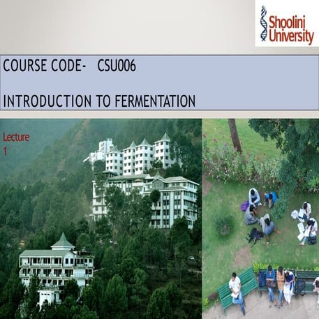 Lecture 1 Introduction to fermentation.pptx