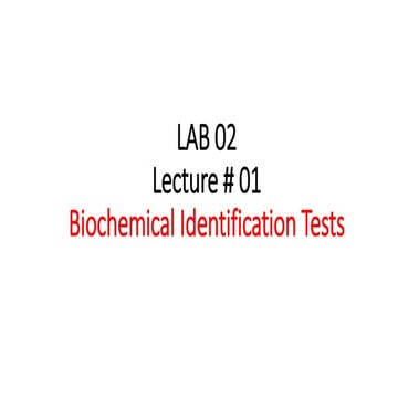 Basic microbiology laboratory tests.pptx