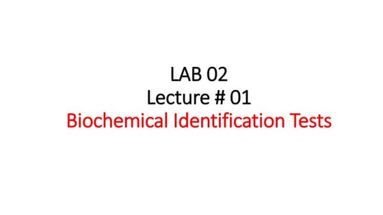 Most probable number or multiple tube fermentation technique | PPT