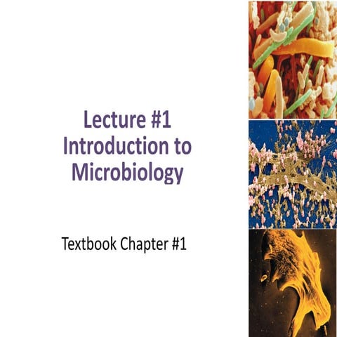 Lecture 1 Micro biology.pdf on Lecture #1 Introduction to Microbiology ...