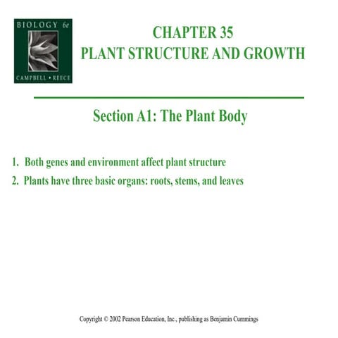 Plant body to explain what a palnt is made up of | PDF