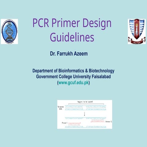 Primer design | PPT