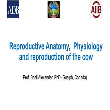 Female bovine reproduction system | PPS