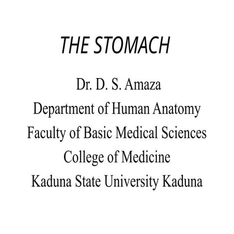 Anatomy of the Ruminant Stomach | PPTX
