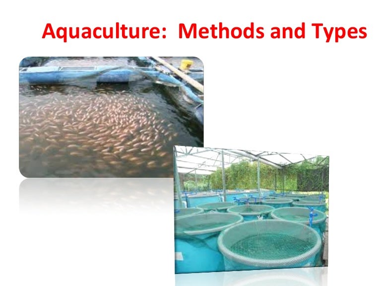 Types Of Aquaculture Systems Ppt - Design Talk