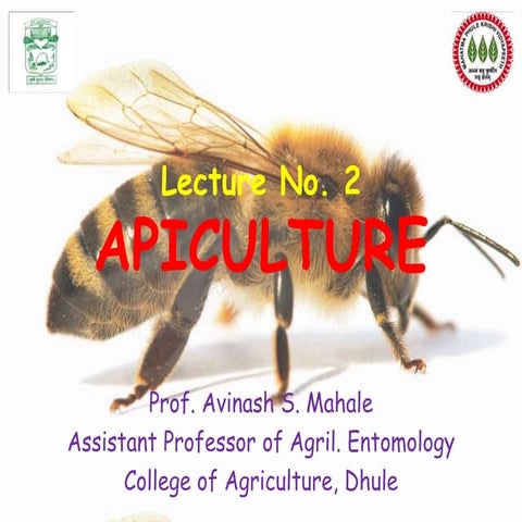 Apiculture | PPTX
