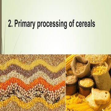cereal and their processing for industry LECTURE 2.pptx