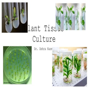 Lecture ppt botony plant intro meaning | PPT