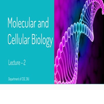 Lecture 2 2 Molecular And Cellular Biology Dna Replication Pptx