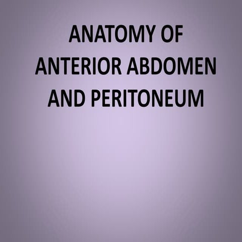 Antero-Lateral Abdominal Wall (Anatomy of the Abdomen) | PPS
