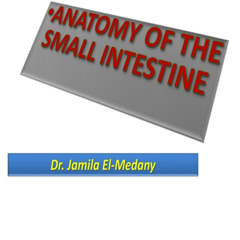 Lecture 2- ANATOMY OF SMALL INTESTINE.ppt