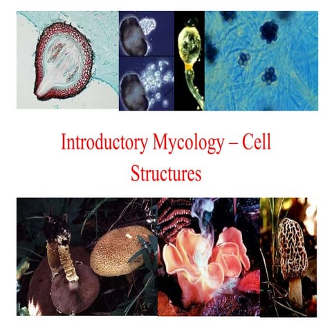 Lecture 2- on Cell Structures.ppt biology | PPT