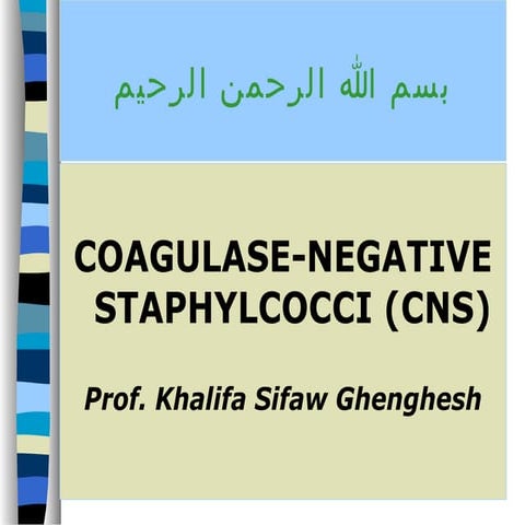 Lecture 2 Coagulase-negative staphylococci | PPT | Infectious Diseases | Diseases and Conditions