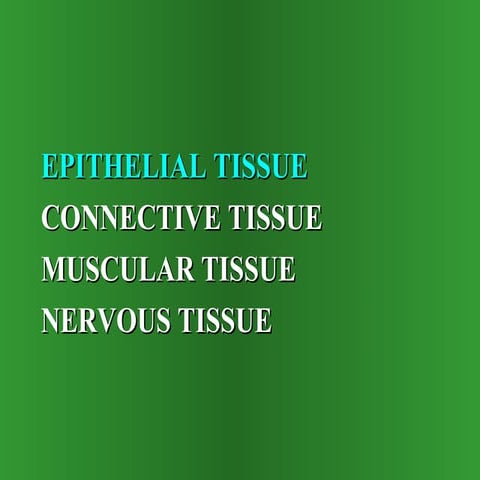 Lecture2 epitel | PPT