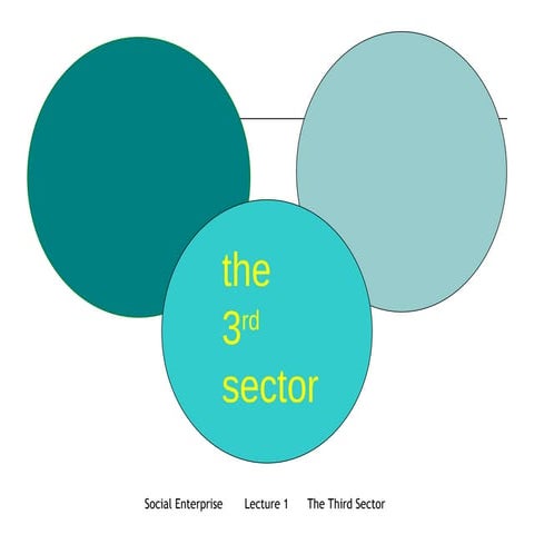 Lecture 2 Finding Social Enterprise In The Third Sector | PPT