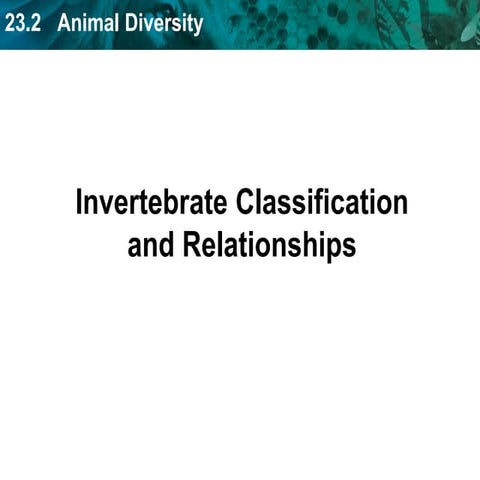 ZOO102 Invertebrate Zoology Invertebrate Classification and ...