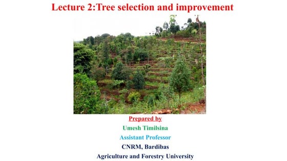 Tree plantation | PPTX | Woodworking | Arts and Crafts