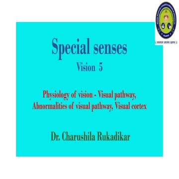 Lecture 5/2022 Special senses -Vision 5 -Physiology of vision - Visual ...