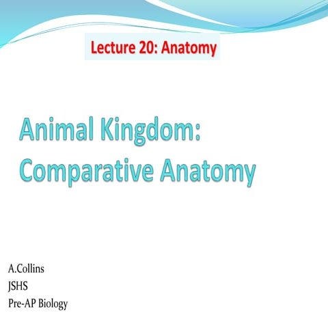 lecture_20_anatomy.ppt