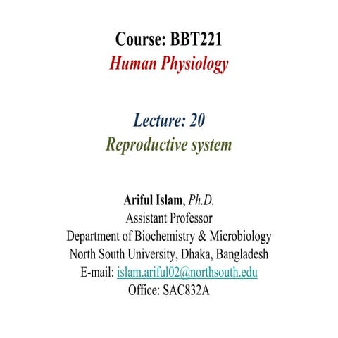 Lecture 20 Reproductive System Arim 250321 Pdf