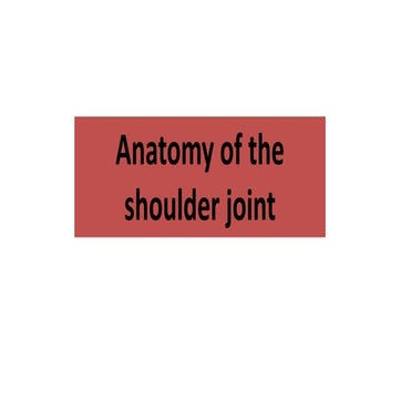 Lecture 23_ Anatomy of the shoulder.pptx
