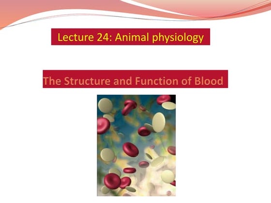 lecture_24_physiology-4_3-converted.pptx