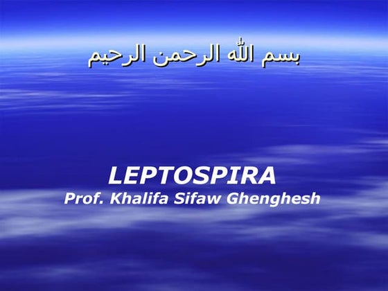 Leptospira | PPT