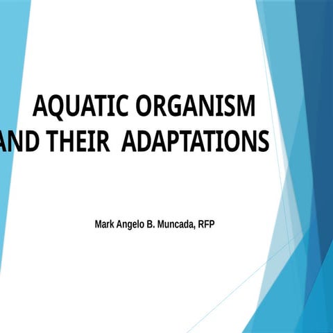 Lecture 2 Aquatic AdaptationsSSSSSSSSSSSS .pptx