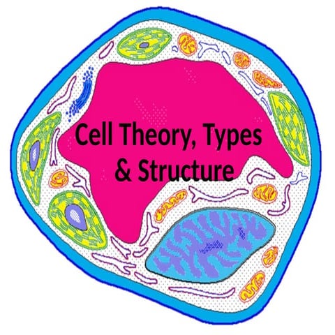 cell structure, components and their functions | PPTX