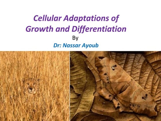 Cellular adaptation | PPT