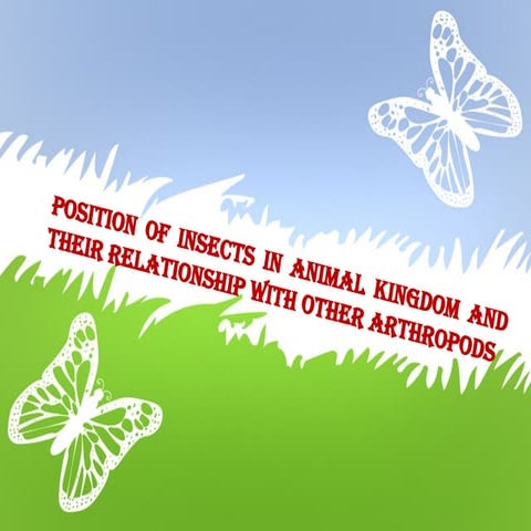Lecture 2 CLASSIFICATION OF PHYLUM ARTHROPODA UPTO CLASSES & POSITION ...