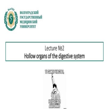 Lecture№2 Hollow organs of the digestive system (2).pdf