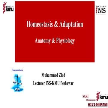 Homeostasis I Negative and Positive Feedback Mechanism I Feedforward ...