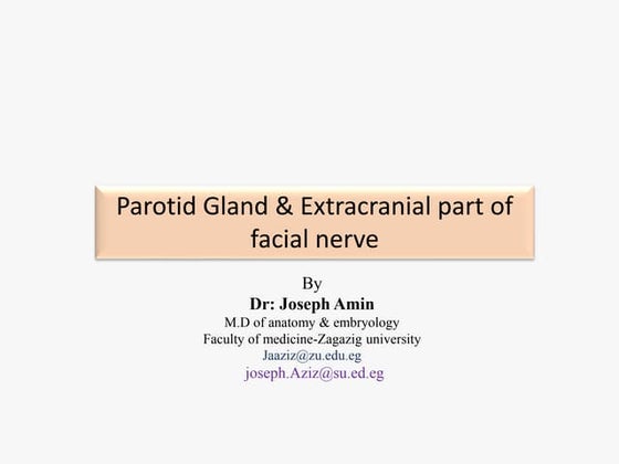 Anatomy of parotid gland | PPTX