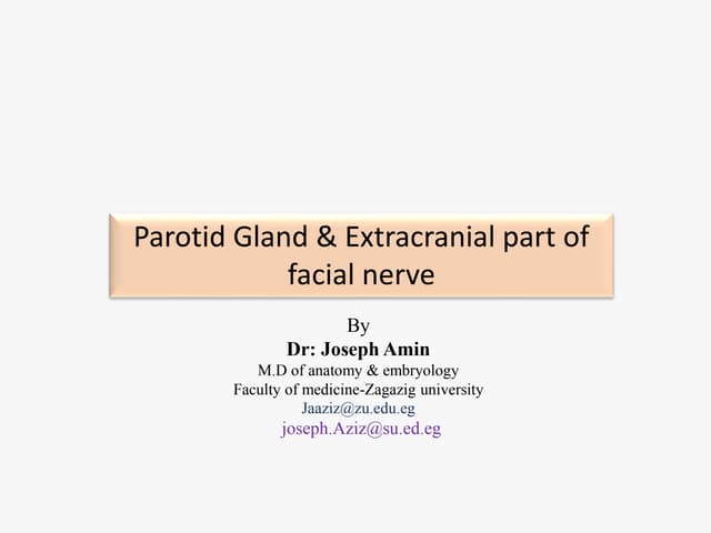 Anatomy of parotid gland | PPTX