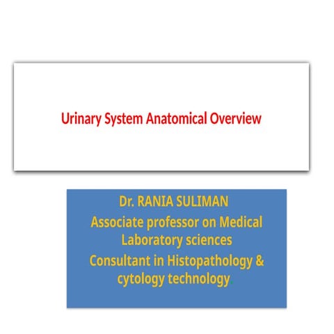 LECTURE 1 (Introduction to Urinalysis).pptx