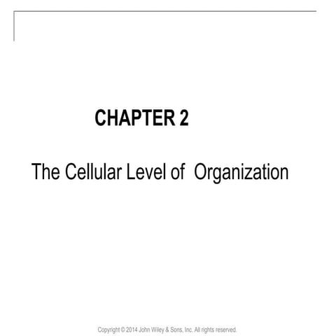 Lecture 2 thecellularleveloforganization | PPT