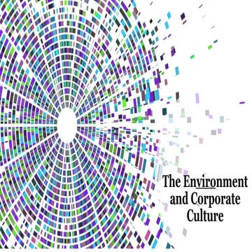 Lecture 2 The Environment and Corporate Culture.pdf