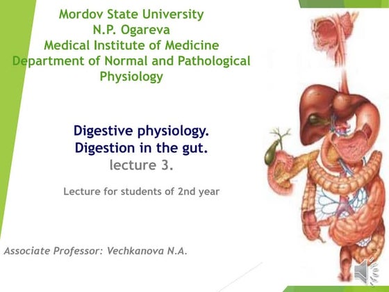 Pancreas anatomy and functions | PPT