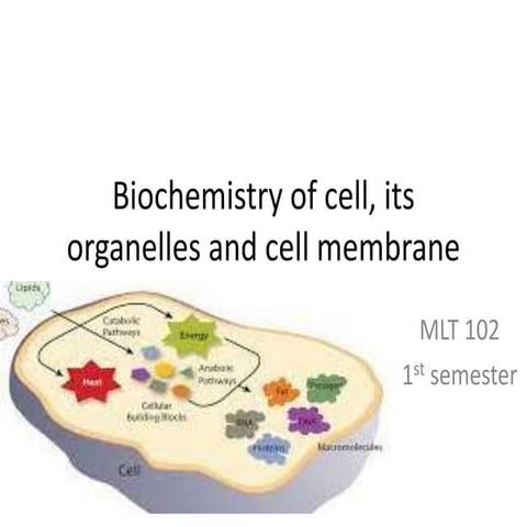 Cell lecture 3 | PPTX | Biological Sciences | Science