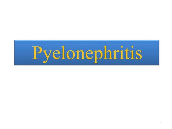 kidney infections(pyelonephritis)_surgery and medicine. | PPT